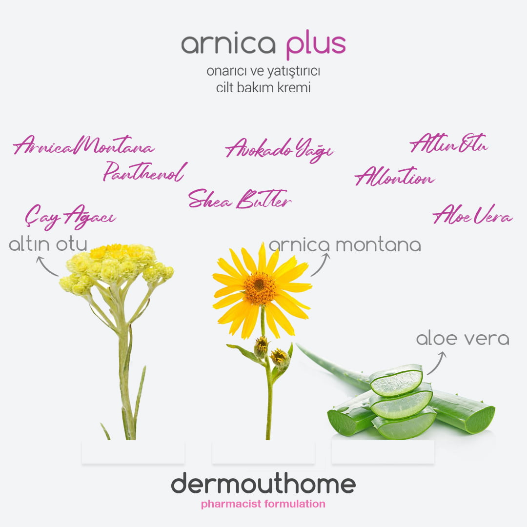 Arnica Plus After Cream – Onarıcı ve Yatıştırıcı Cilt Bakım Kremi 100 ...
